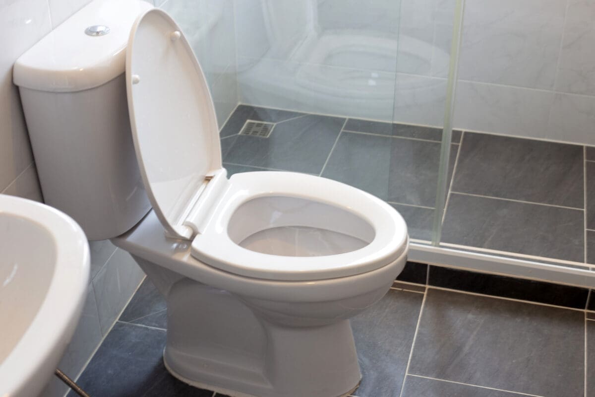 The Anatomy of a Toilet: How It Works and Troubleshooting Tips ...