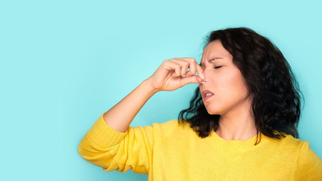 Hot Water Smells Like Rotten Eggs | Absolute Plumbing